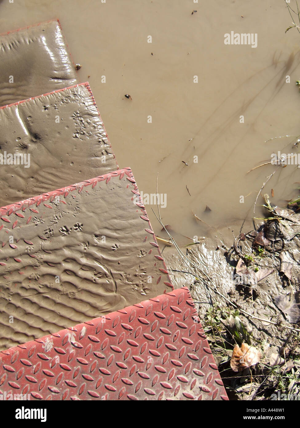 muddy steps after flood Stock Photo - Alamy