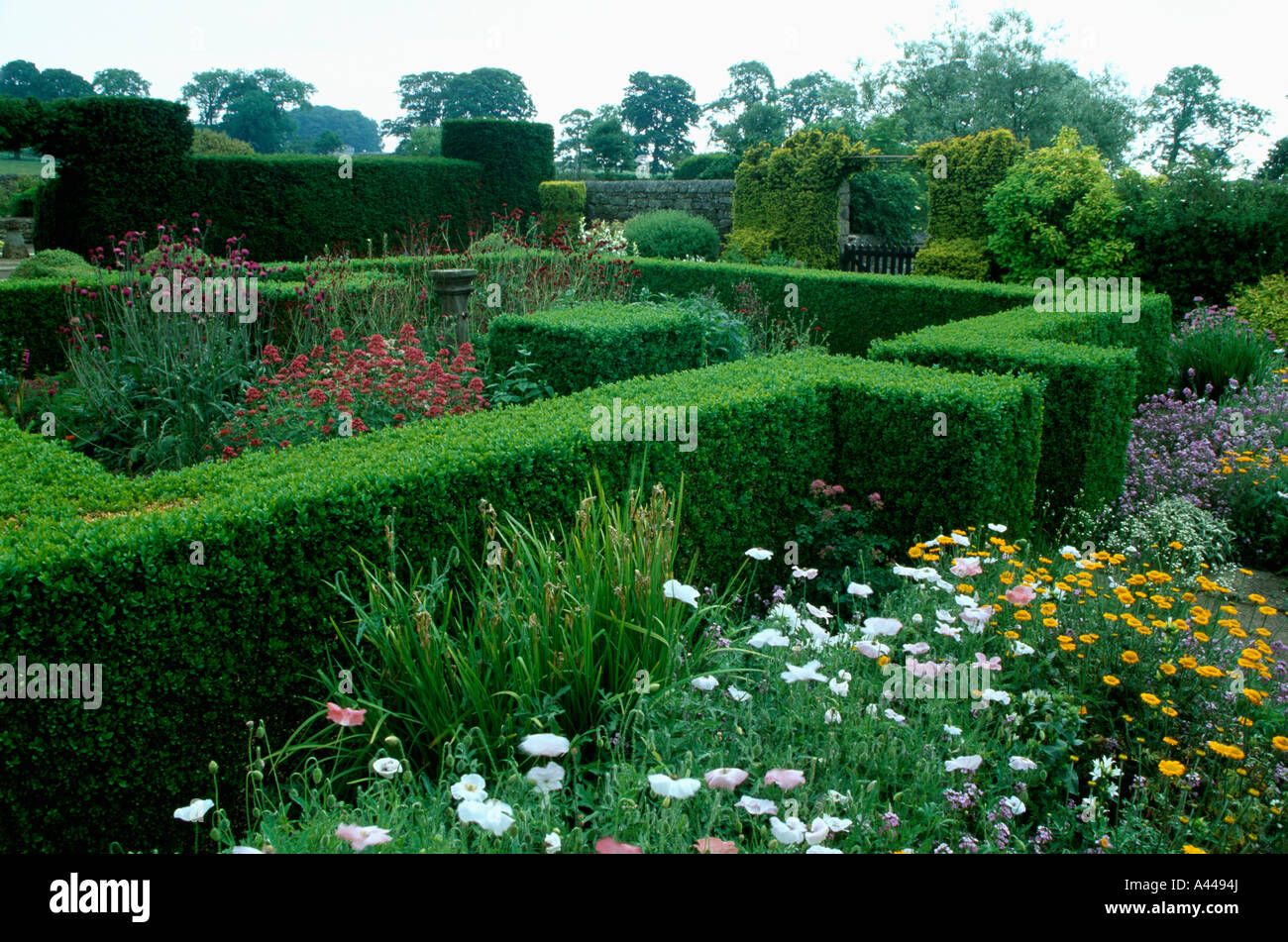 Large formal summer country garden with clipped hedges Stock Photo - Alamy