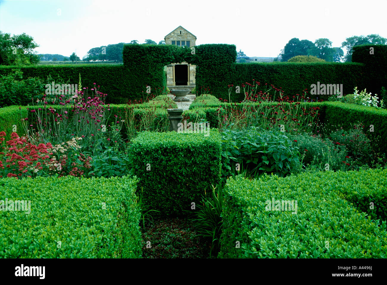 Clipped hedges in large formal knot garden Stock Photo - Alamy