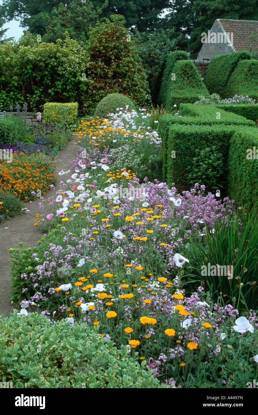 Path through large garden with yellow and purple summer flowers and ...
