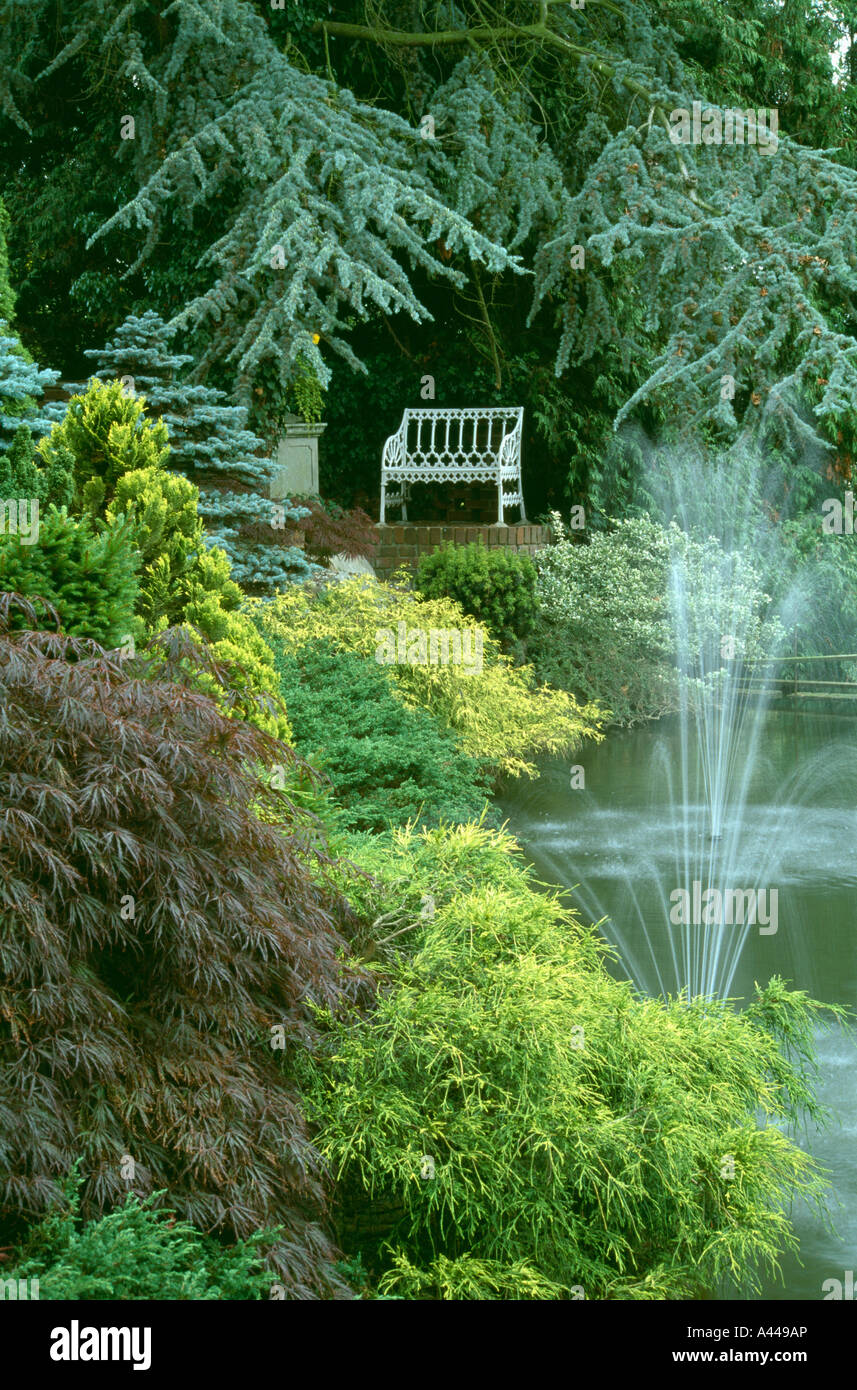 Fountain in pool beside acer and conifer border with white garden seat ...