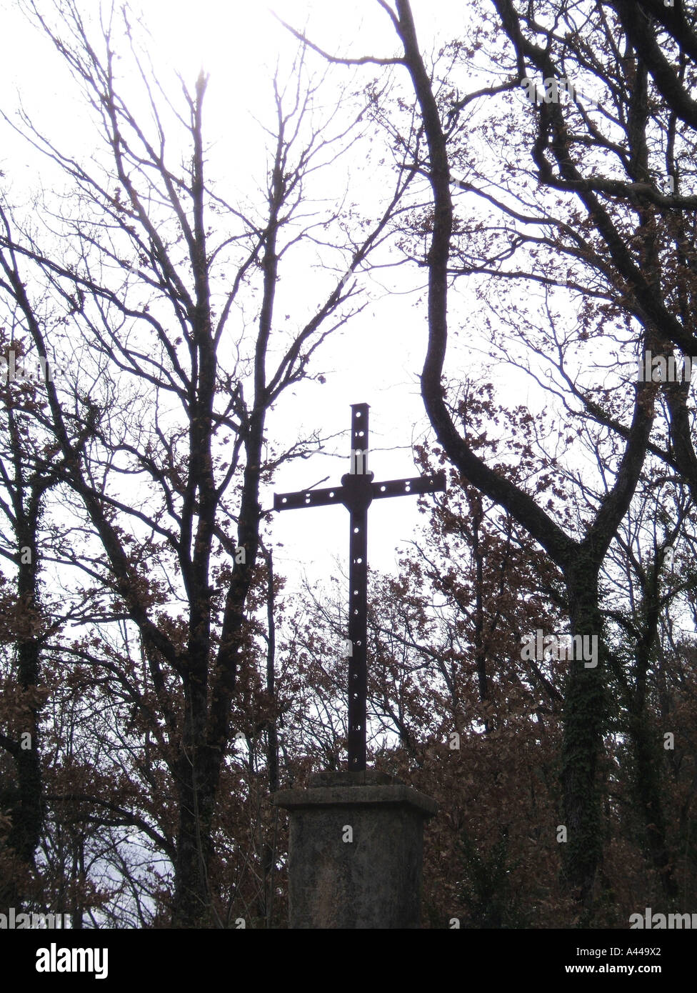 cross in woods Stock Photo - Alamy