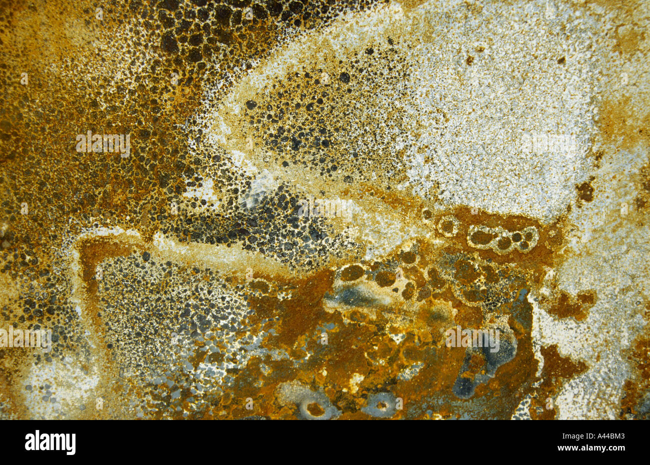 Burnt car paint hi-res stock photography and images - Alamy