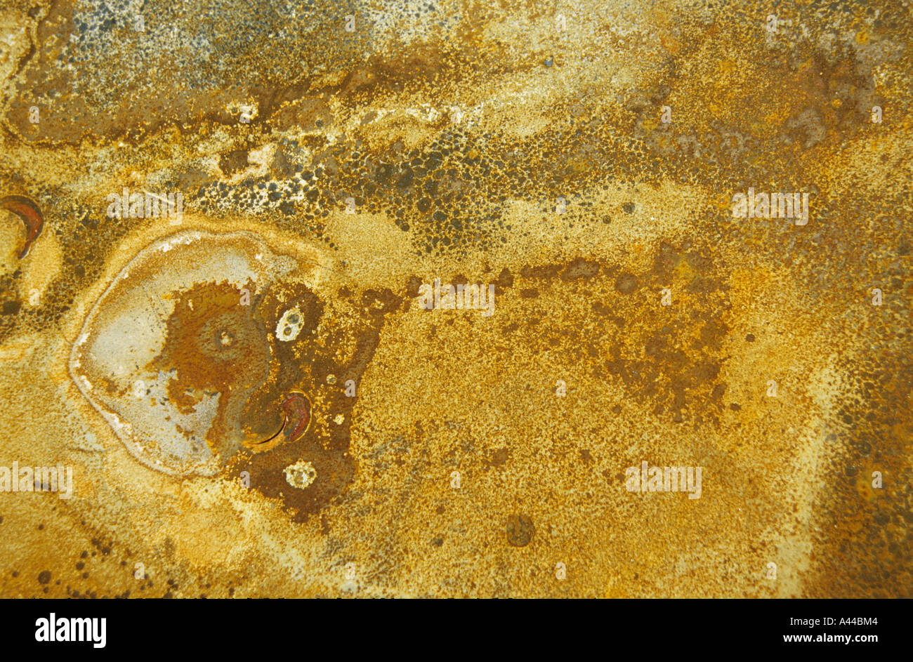 Rust on burnt out car Stock Photo - Alamy