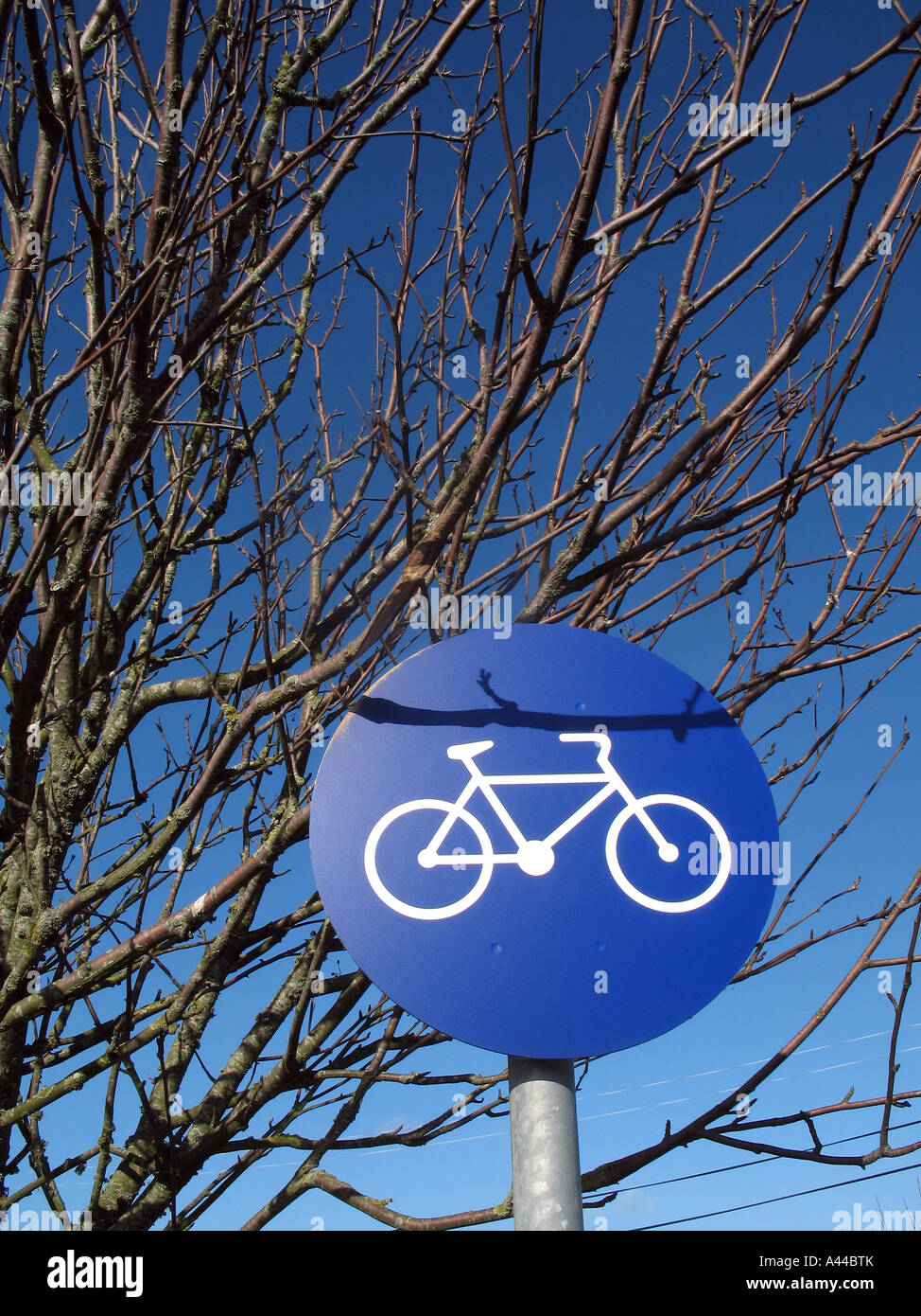 Cyclepath sign Cornwall UK Stock Photo - Alamy