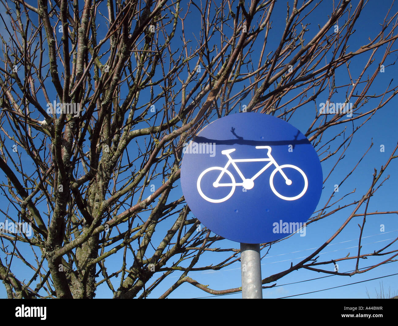 Cyclepath sign Cornwall UK Stock Photo - Alamy
