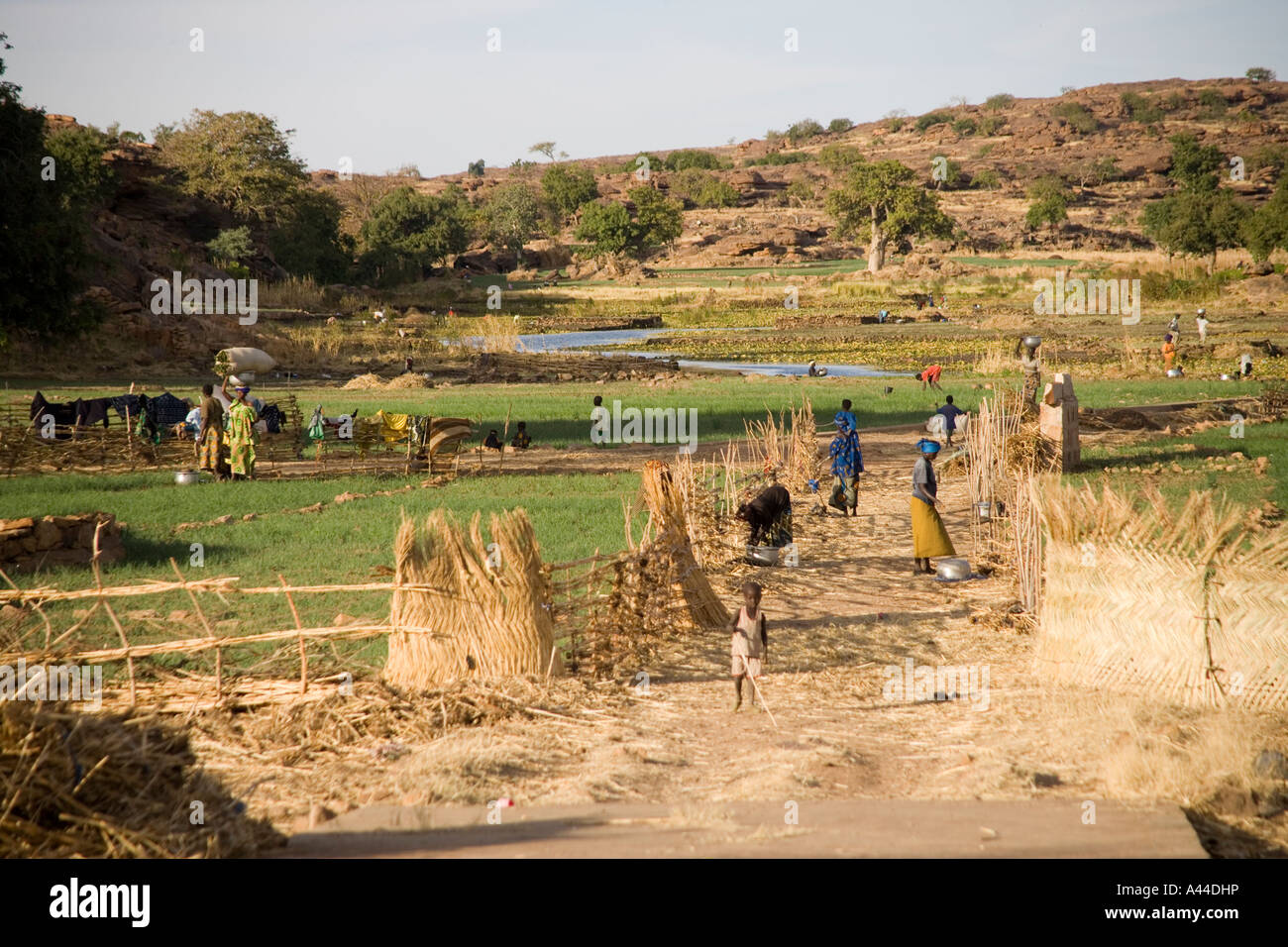 Fields by Sanga village , Dogon Country, Mali, West Africa Stock Photo ...