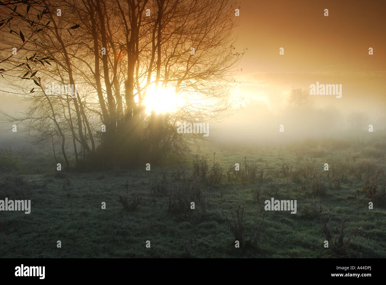 The sun shines through the mist early on a frosty morning near ...