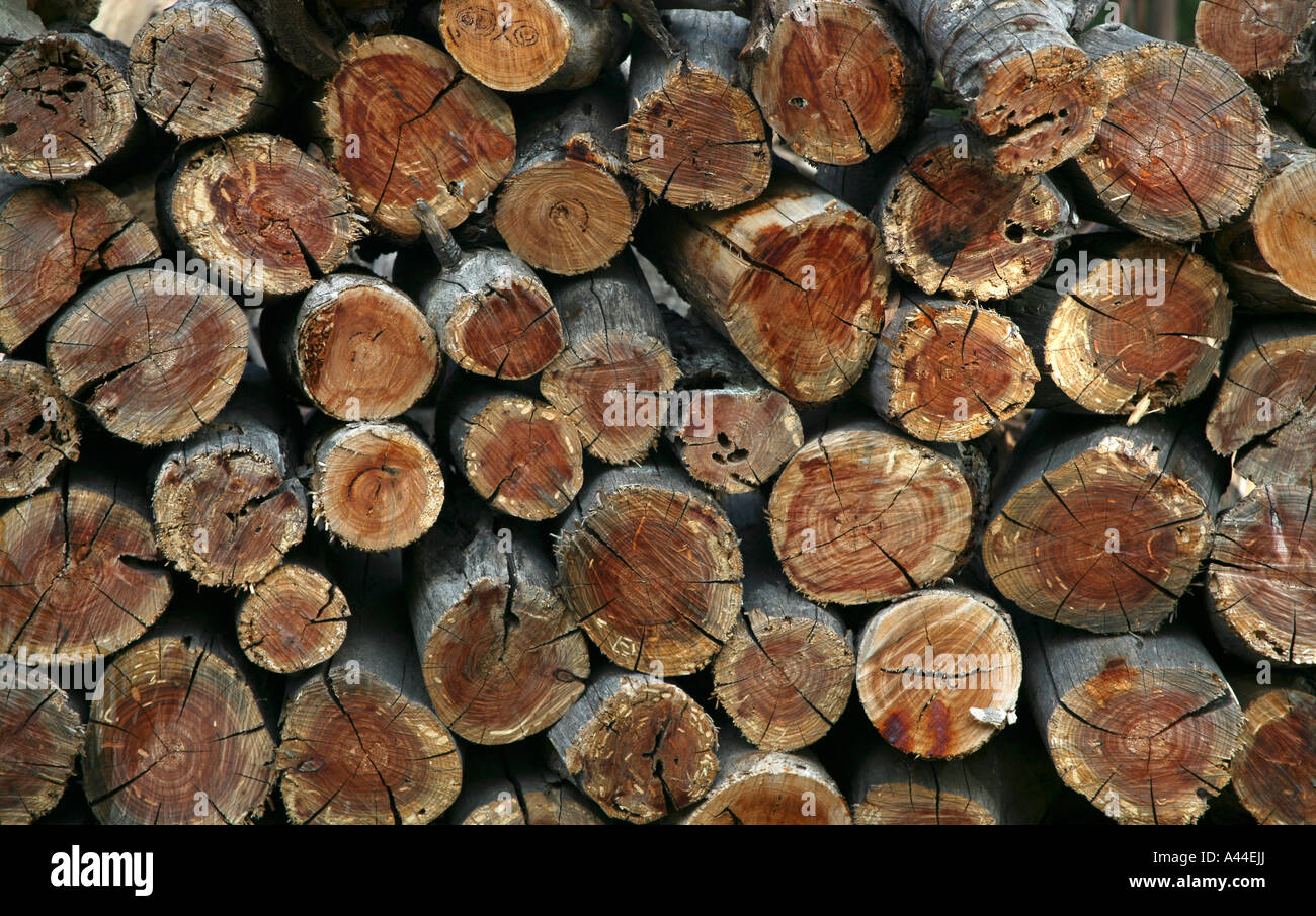 Pile victoria hi-res stock photography and images - Alamy