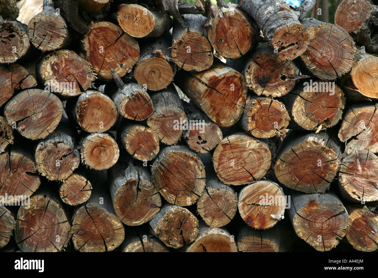 Log pile chopped firewood hi-res stock photography and images - Alamy