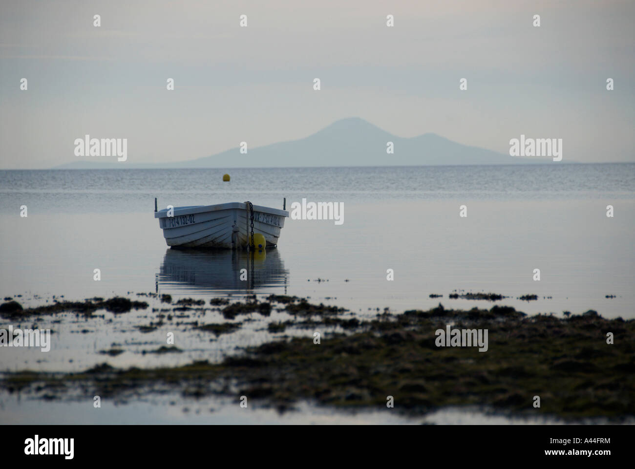 Roman rowing boat hi-res stock photography and images - Alamy