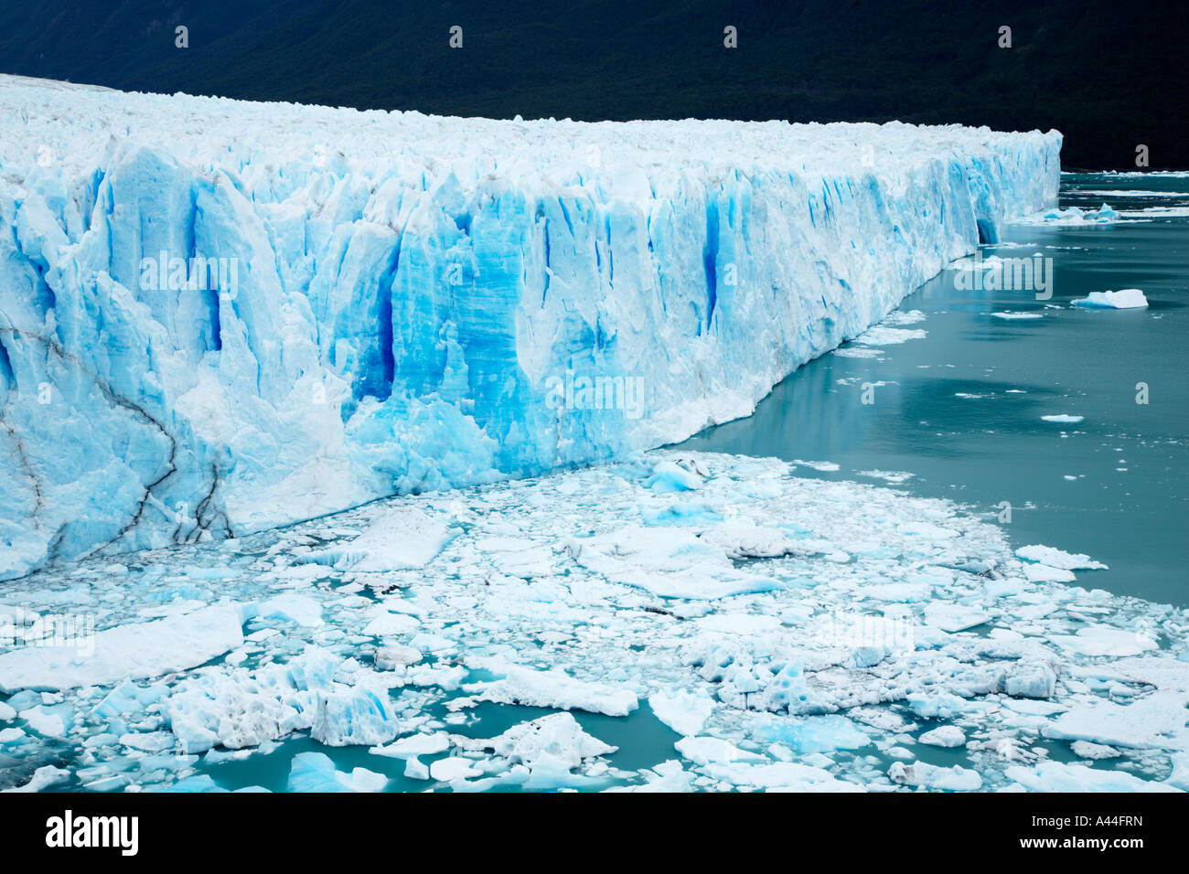 Argentina Patagonia Los Glaciares National Park Icebergs floating in ...