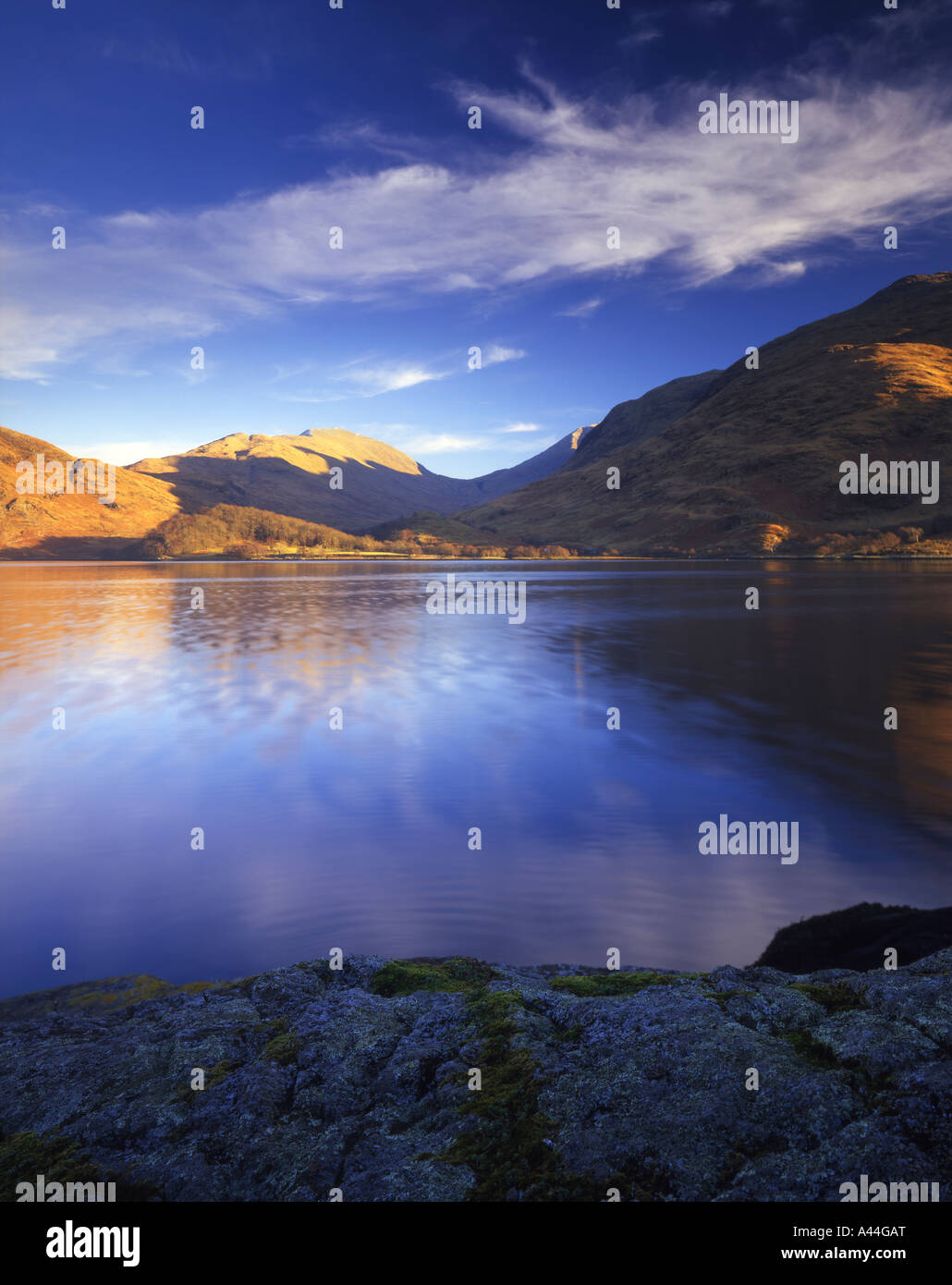 Glen Noe viewed from the coast near Bonawe, Loch Etive Stock Photo - Alamy