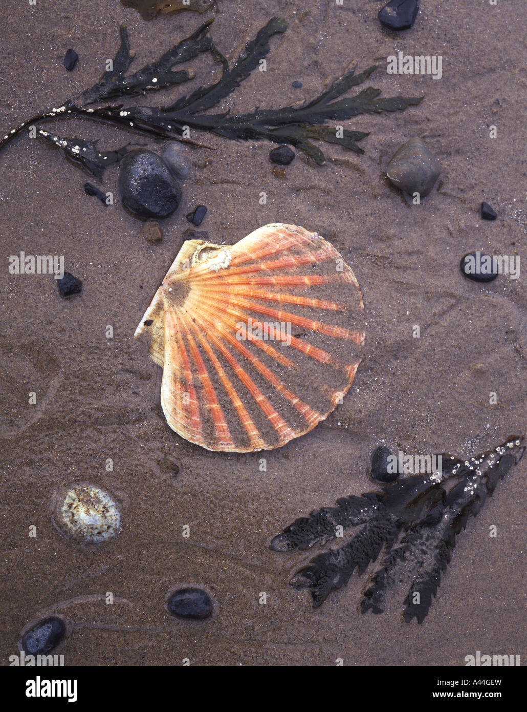 Ganavan sands hi-res stock photography and images - Alamy