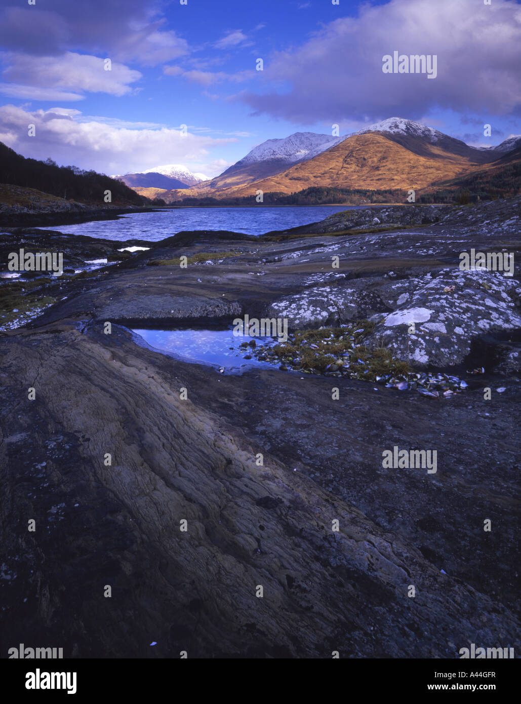 Beinn Sgulaird viewed from the shores of Loch Creran, Argyll Stock ...