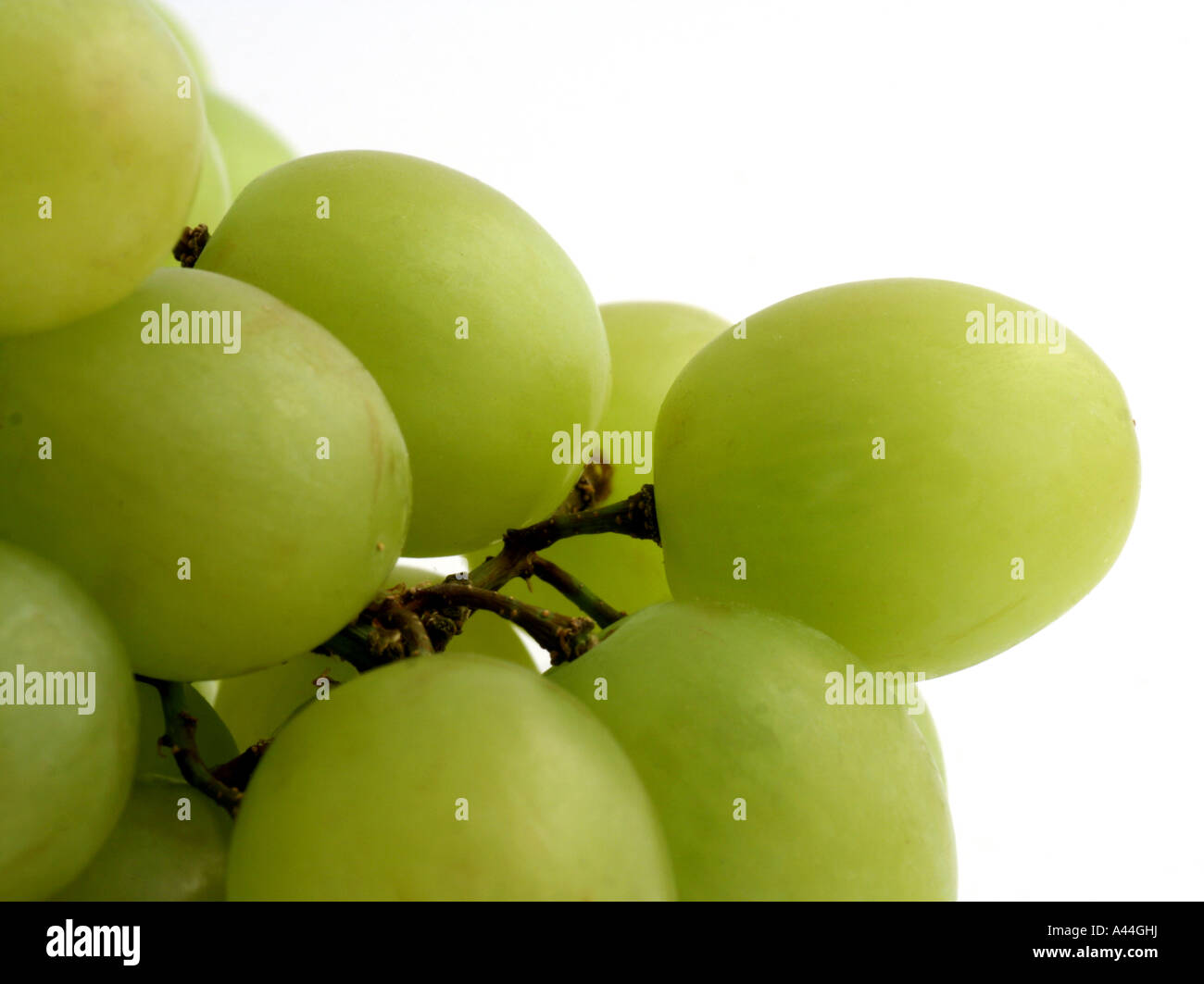 Green grapes closeup Stock Photo - Alamy