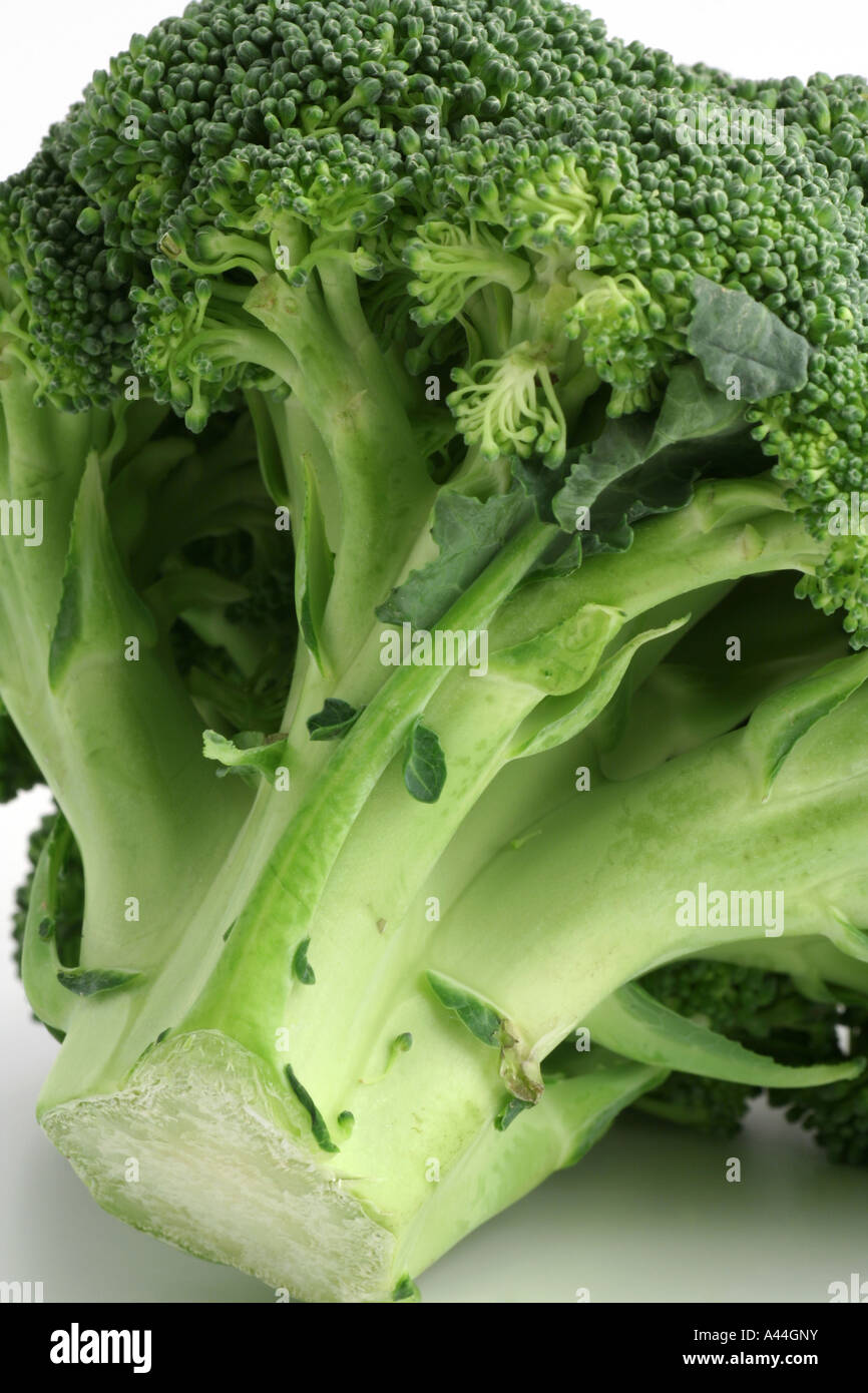 Broccoli (brassica oleracea Stock Photo - Alamy