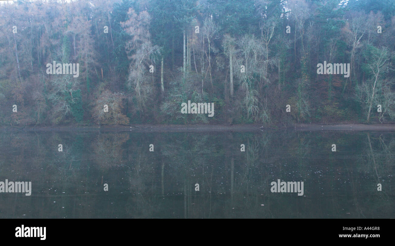 uk england Devon river dart valley near totnes Stock Photo - Alamy