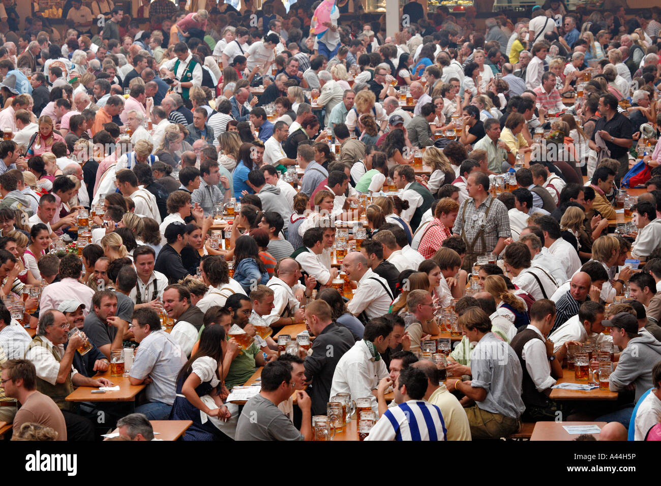 Crowded Oktoberfest Beer Tent Munich High Resolution Stock Photography ...