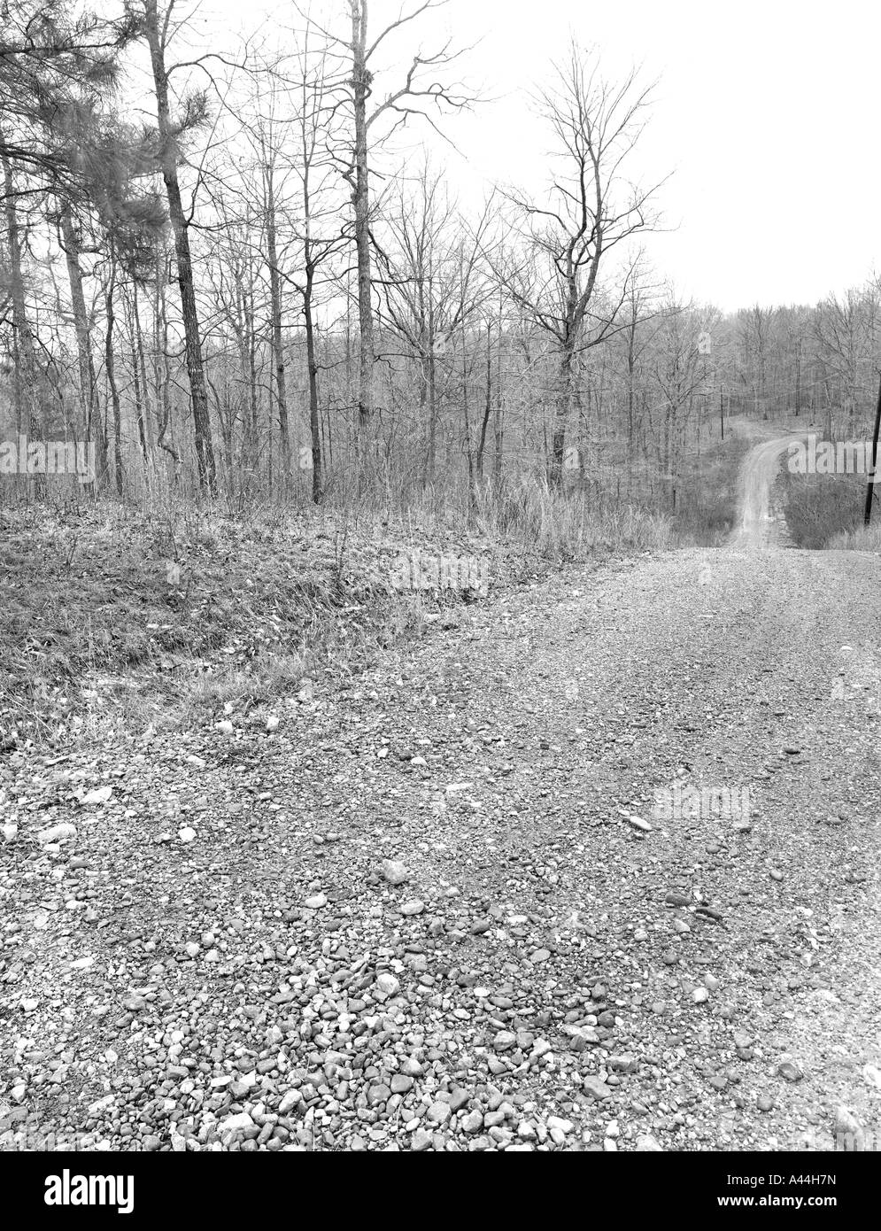 Country road that is unfinished gravel Stock Photo - Alamy