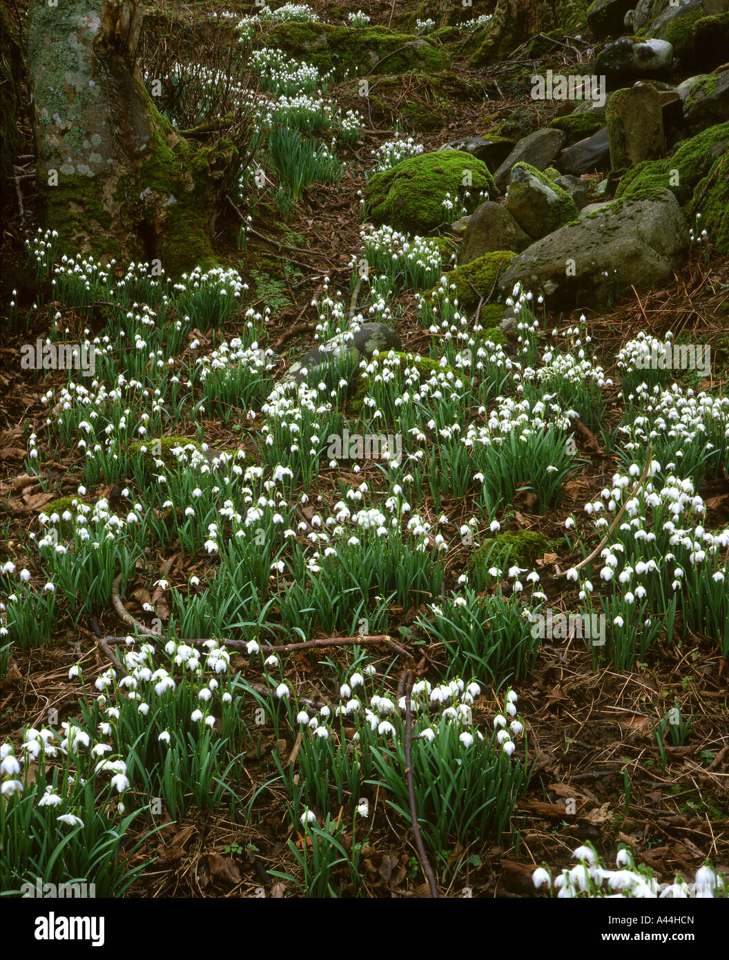 Kilberry hi-res stock photography and images - Alamy