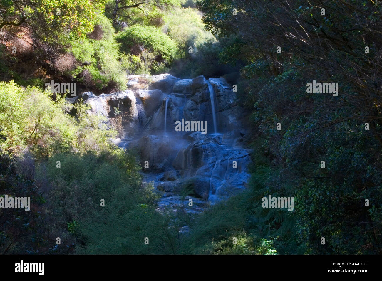 Hot Water Falls, Hells Gate, Rotorua, New Zealand Stock Photo - Alamy