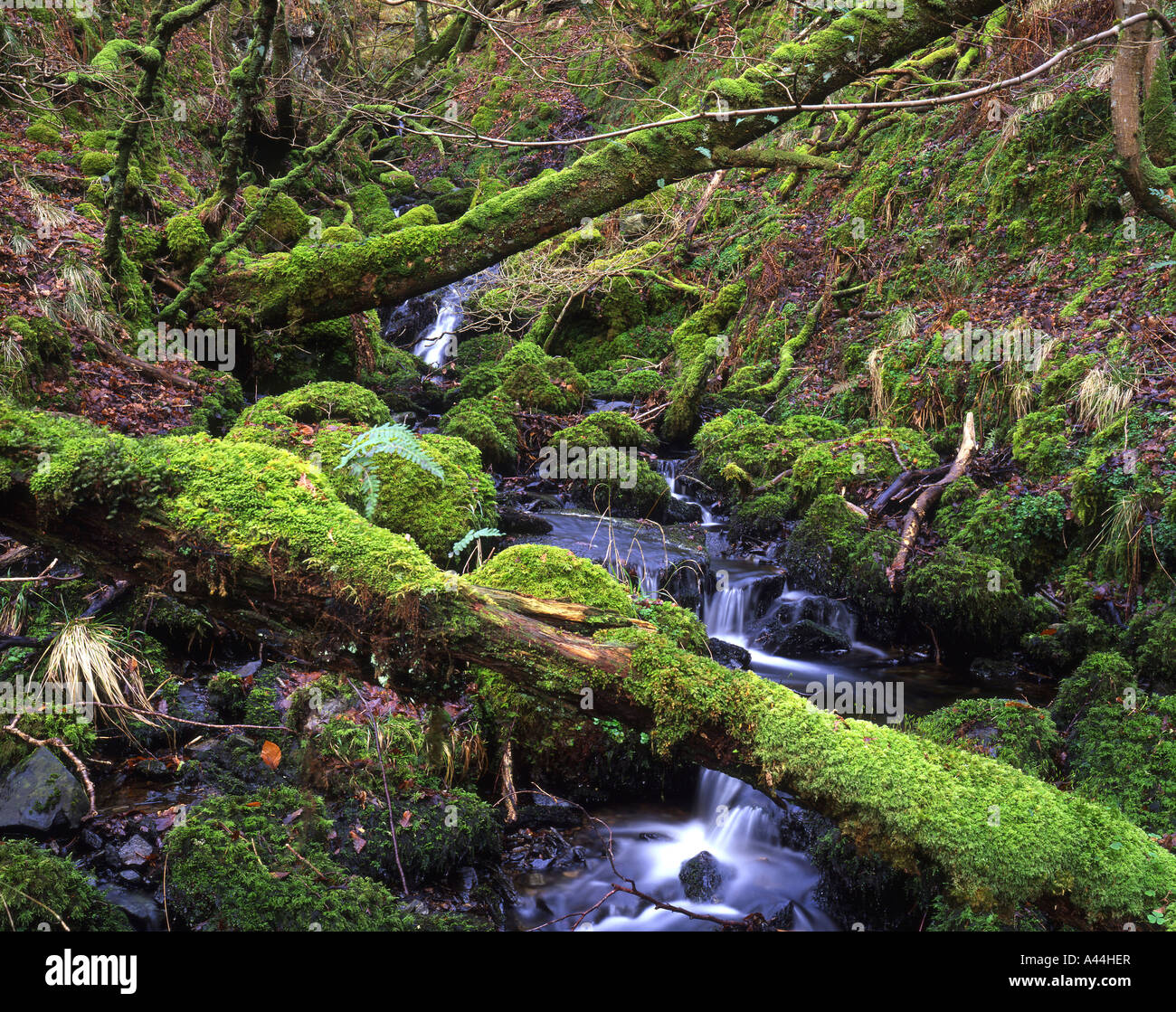 Kilmelford hi-res stock photography and images - Alamy