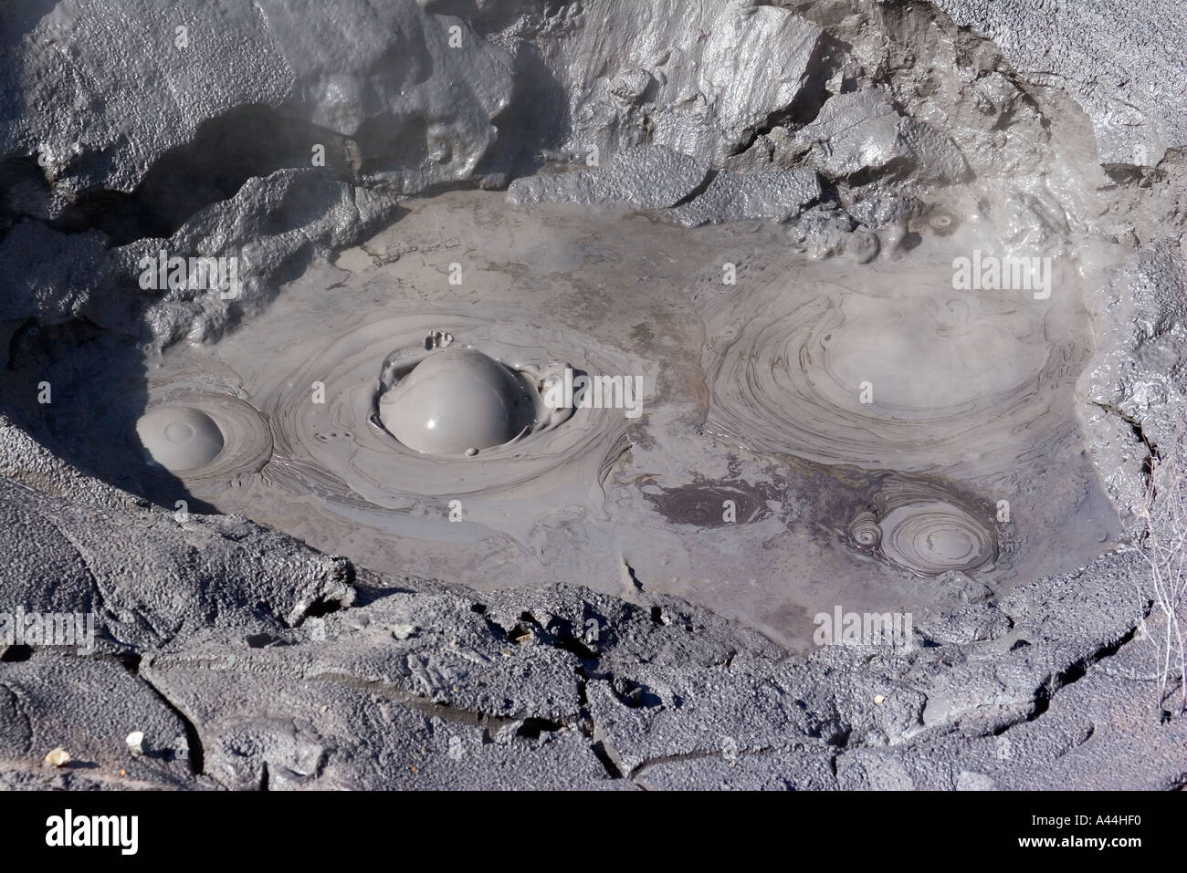 Boiling Mud Pools, Hells Gate, Rotorua, New Zealand Stock Photo - Alamy