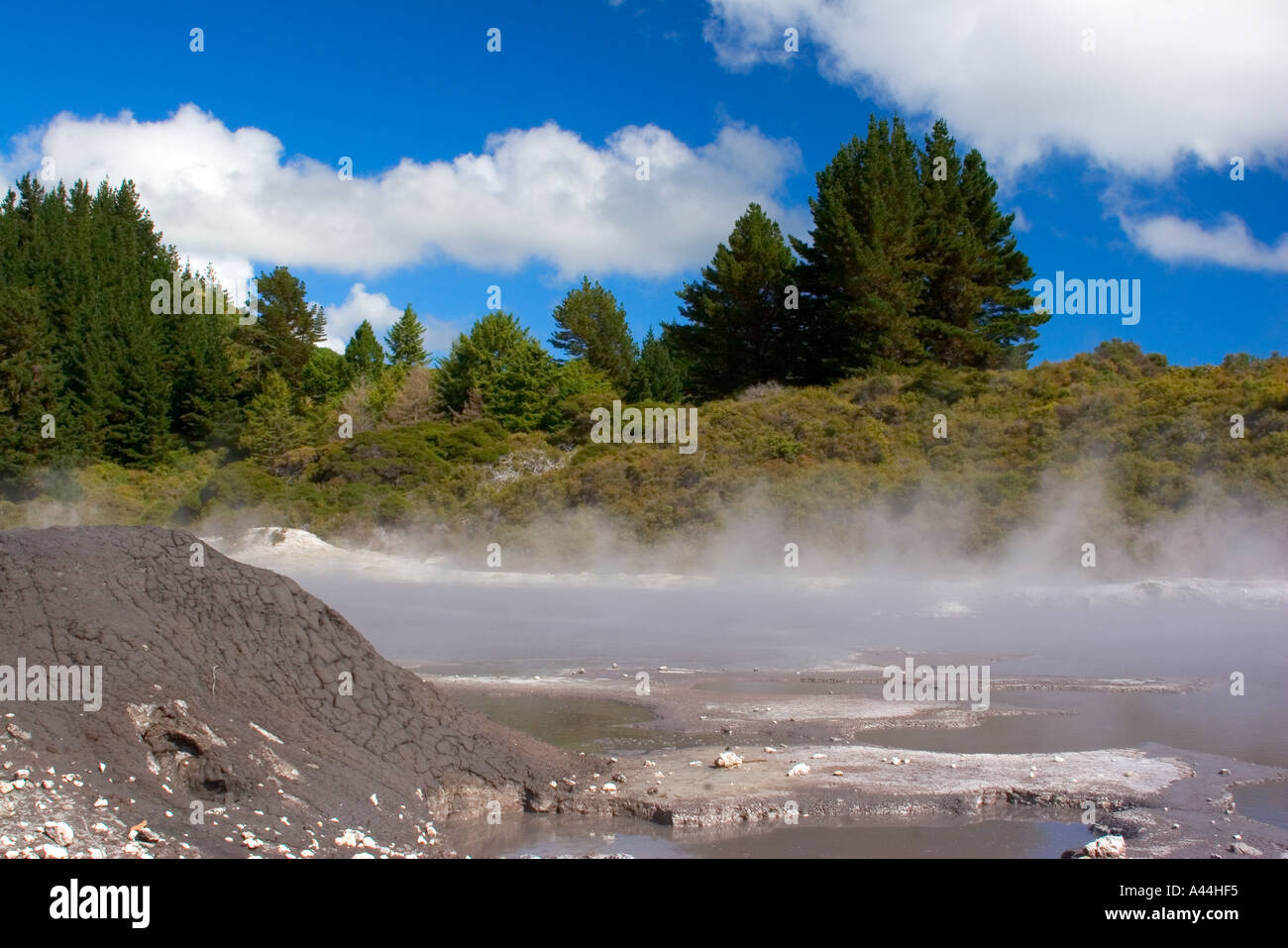Mud Volcano, Hells Gate, Rotorua, New Zealand Stock Photo - Alamy