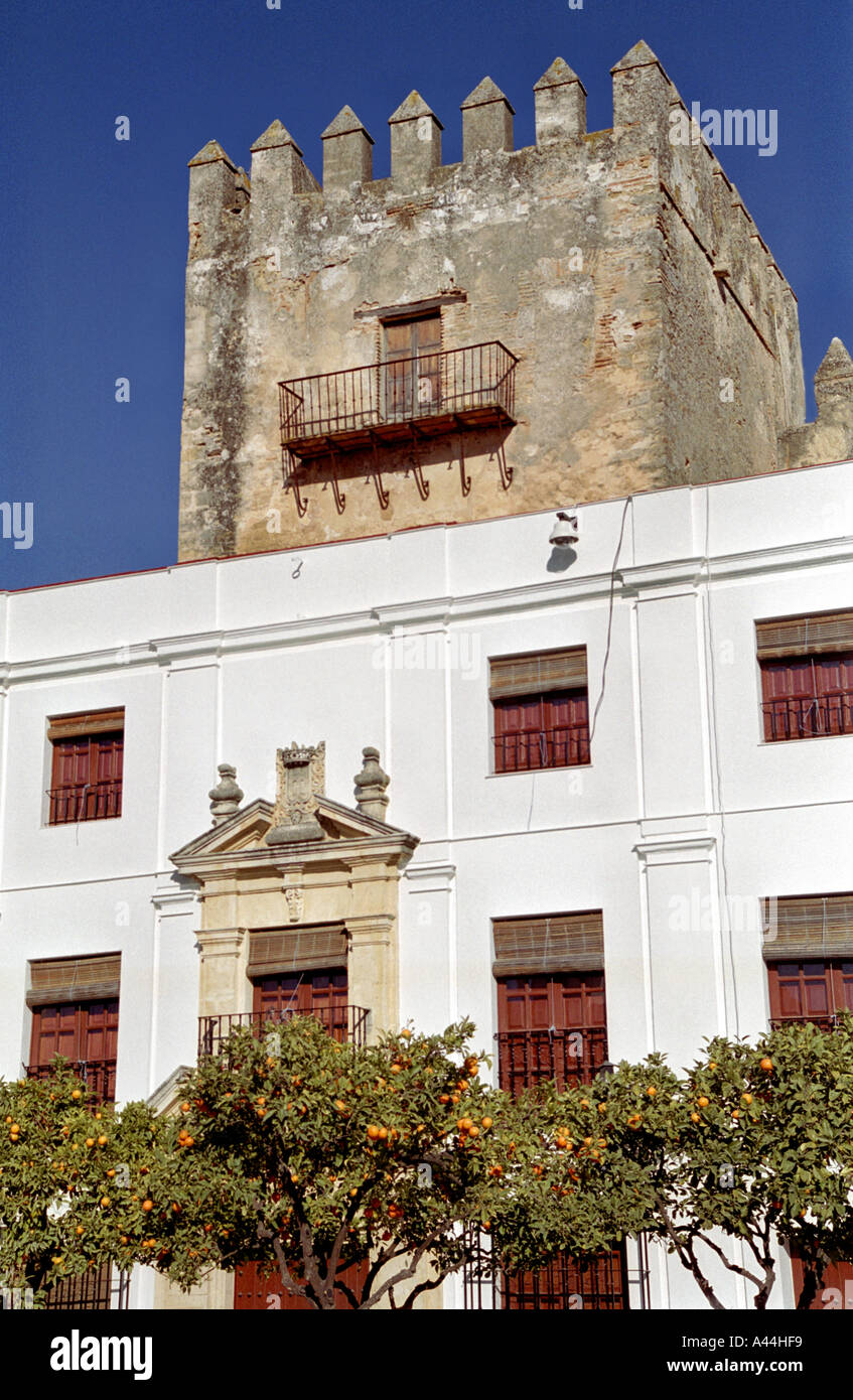 View of the Facade of Plaza de Cabildo Square with Castillo de los ...