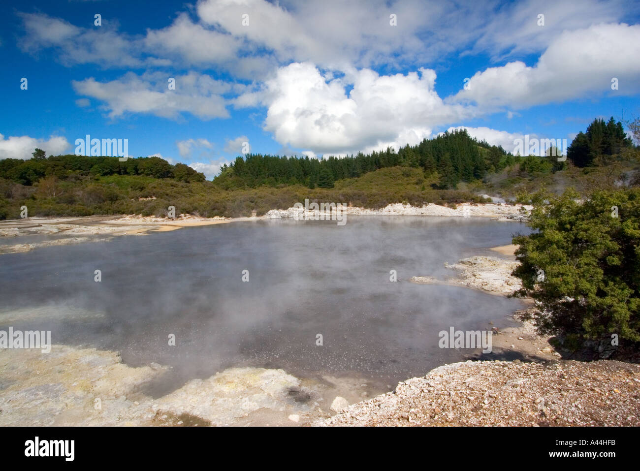 Thermal pool, Hells Gate, Rotorua, New Zealand Stock Photo - Alamy