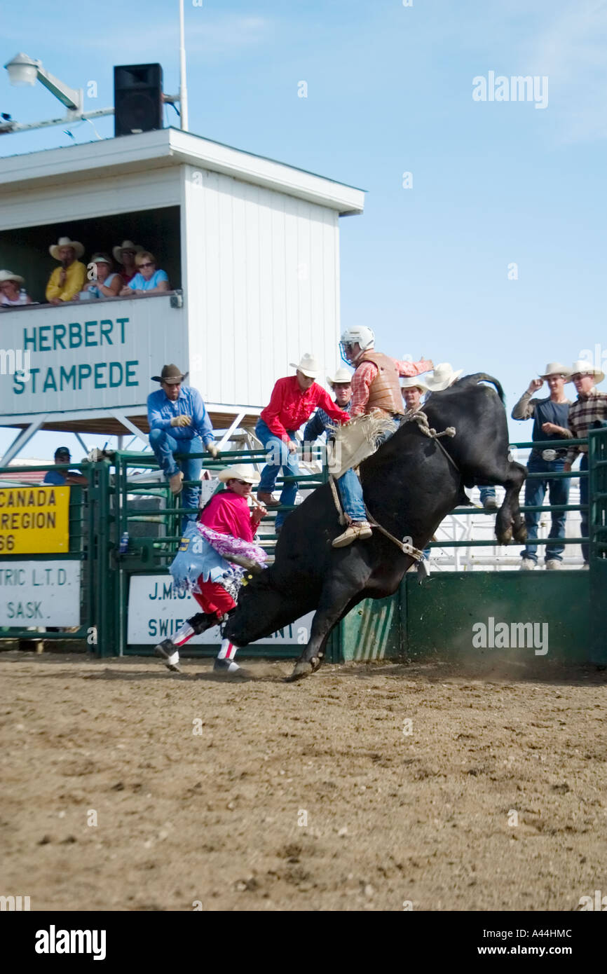 Rodeo Boy Watch High Resolution Stock Photography and Images - Alamy