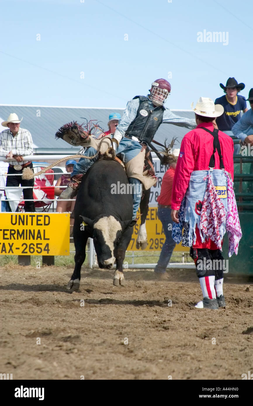 Bull Riding at the Herbert Rodeo Saskatchewan Canada Stock Photo - Alamy