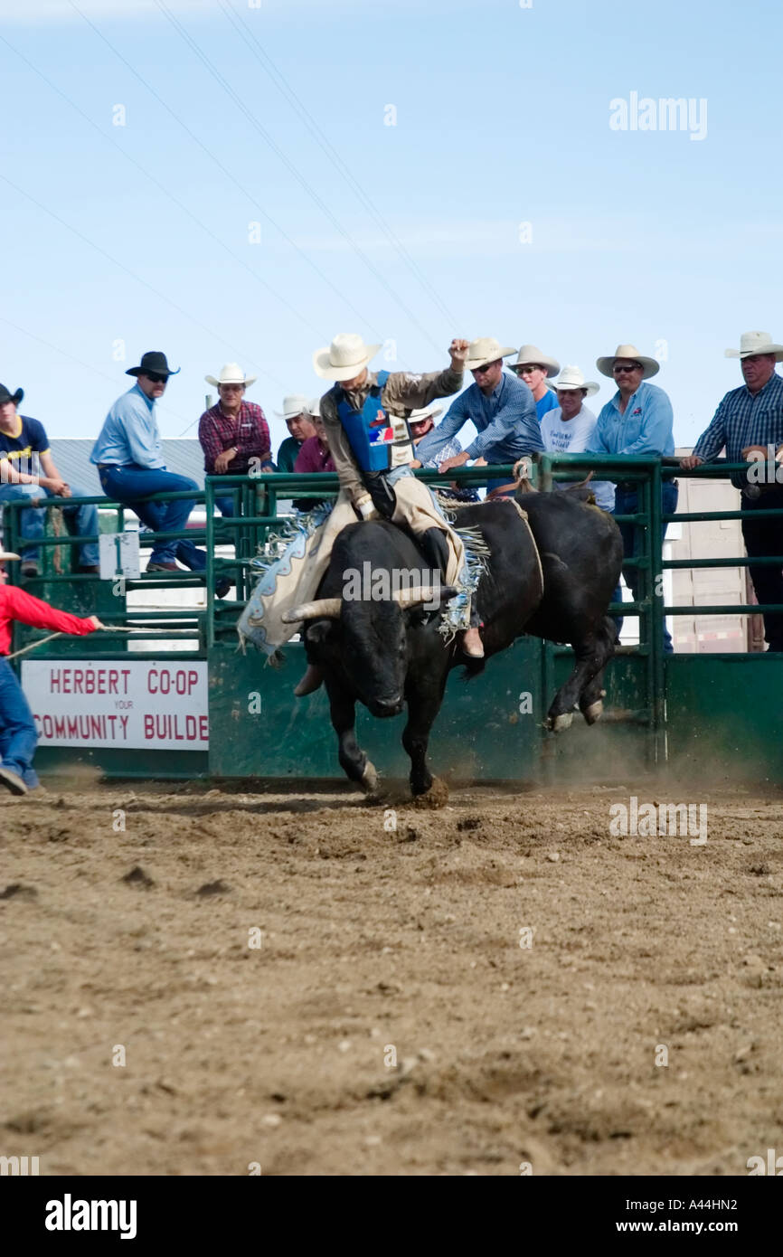 Rodeo Boy Watch High Resolution Stock Photography and Images - Alamy
