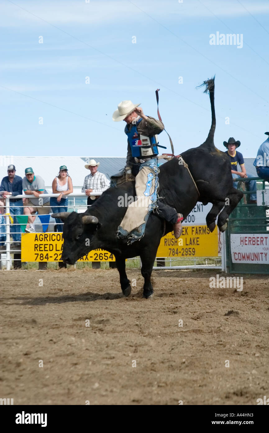 Rodeo Boy Watch High Resolution Stock Photography and Images - Alamy