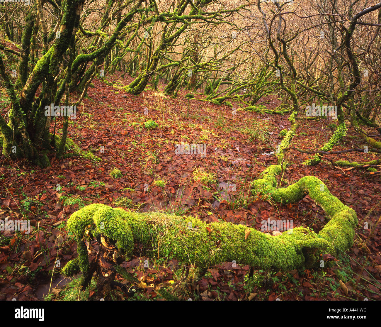 Kilmore argyll hi-res stock photography and images - Alamy