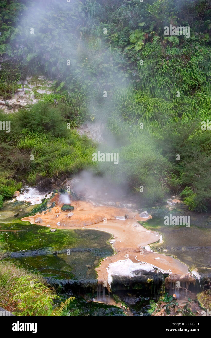 Green yellow sludge hi-res stock photography and images - Alamy