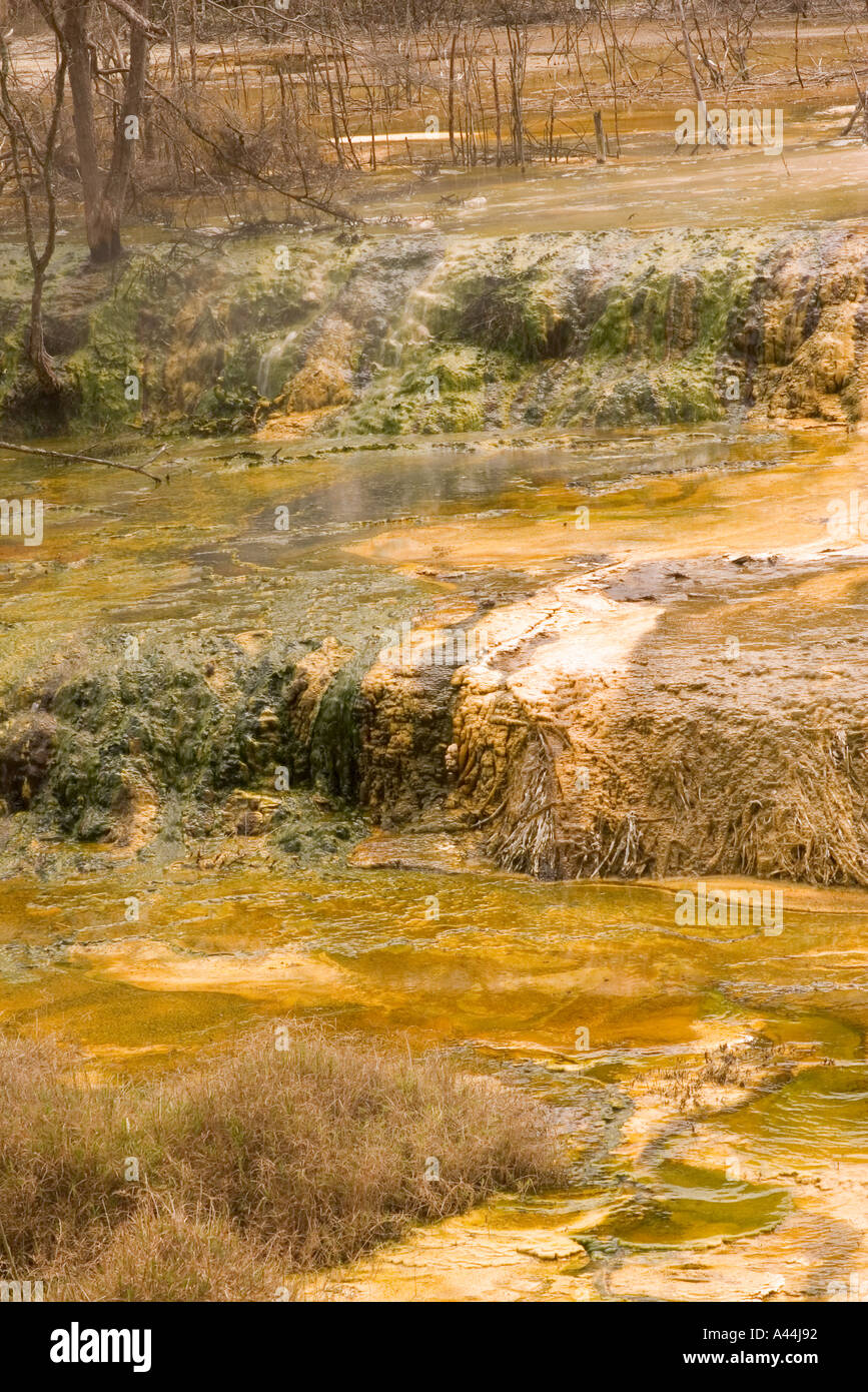Green yellow sludge hi-res stock photography and images - Alamy