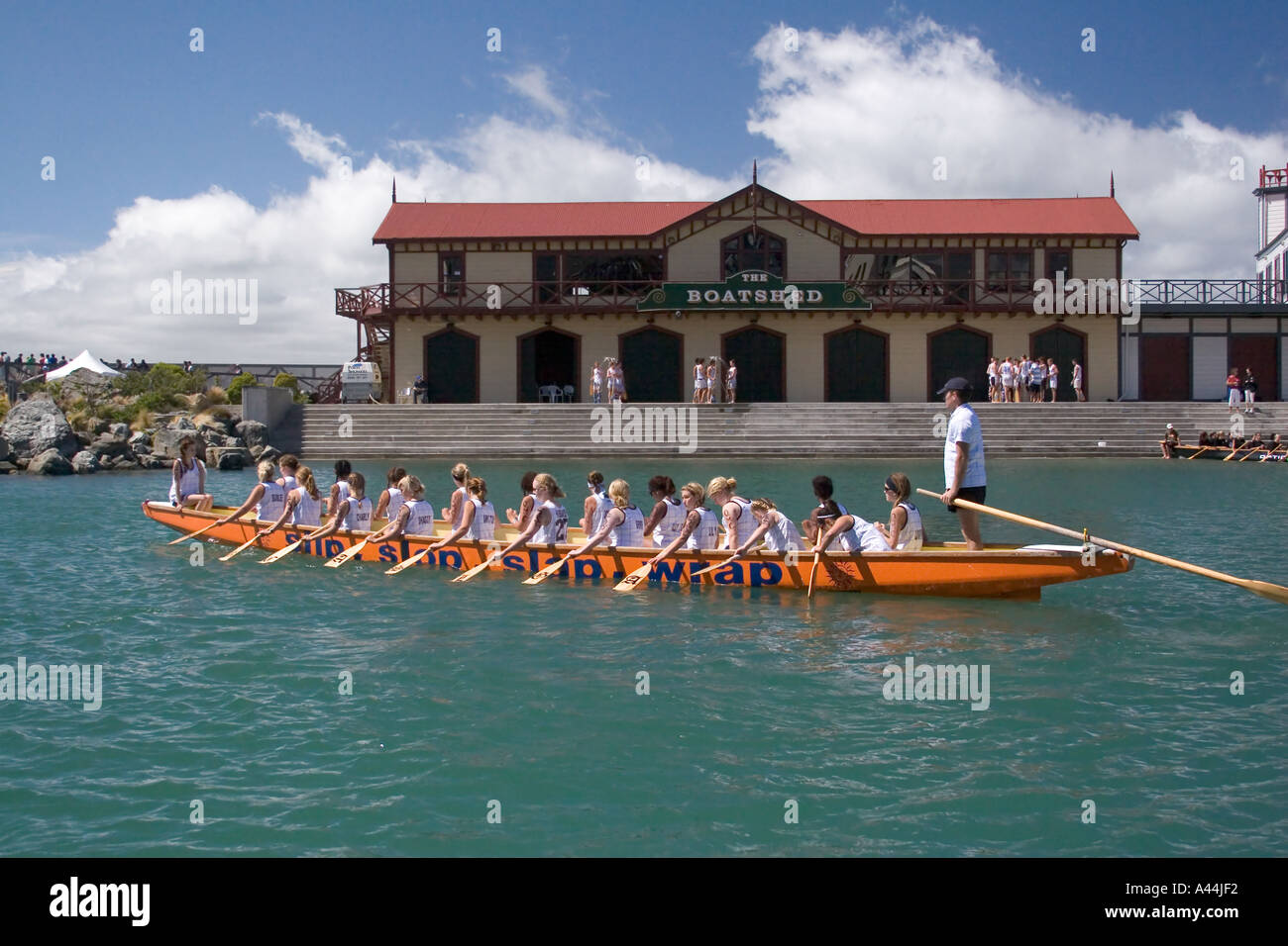 Dragon Boat participating in Dragon Boat Race, Wellington, New Zealand ...