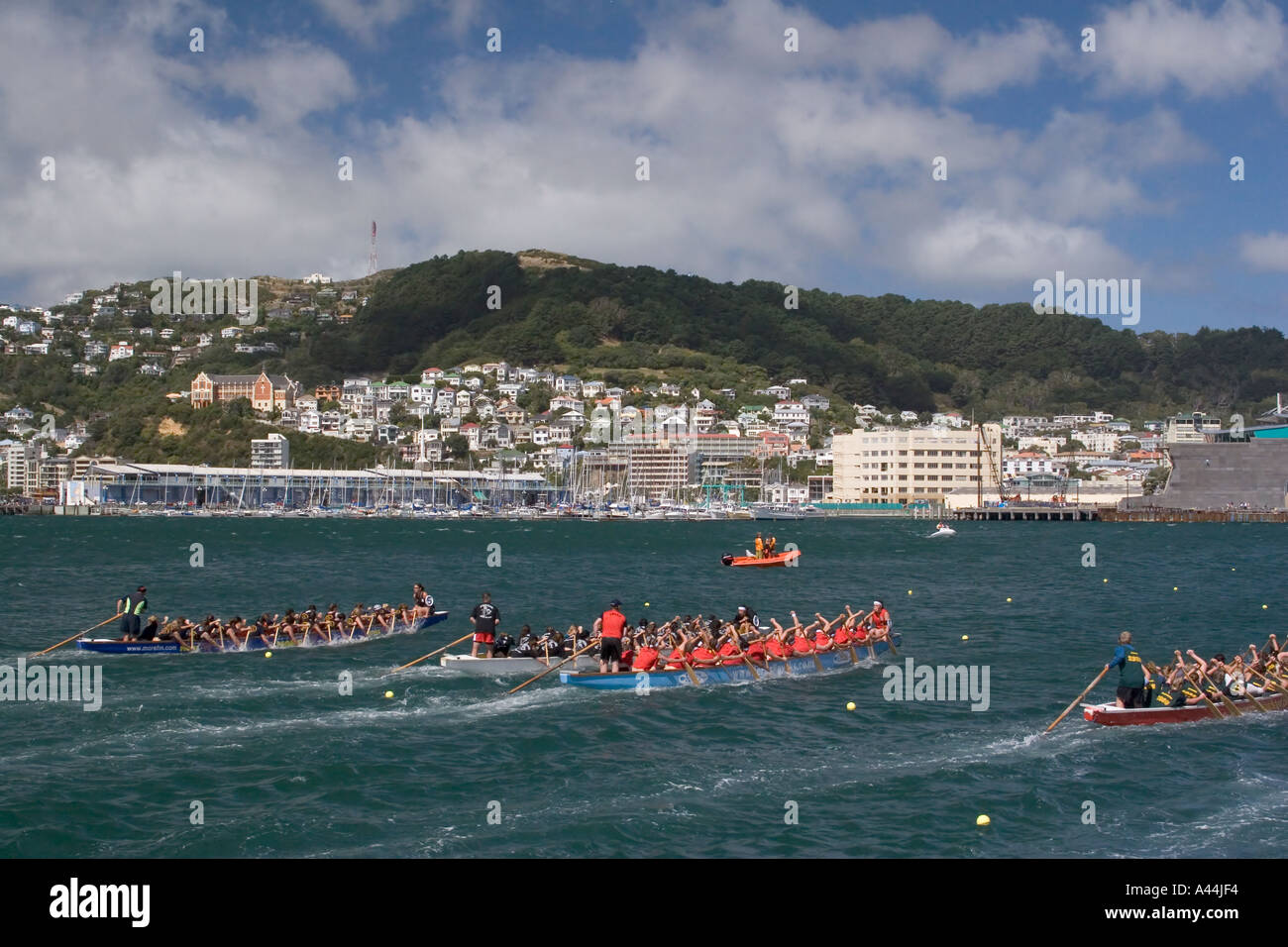 Wellington dragon boat festival hi-res stock photography and images - Alamy