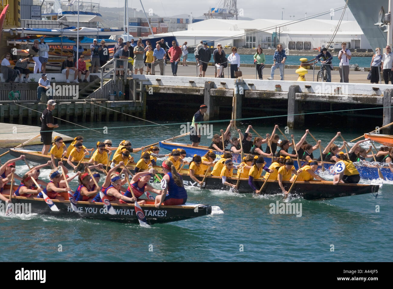 Dragon boat races dragon boat regatta hi-res stock photography and ...