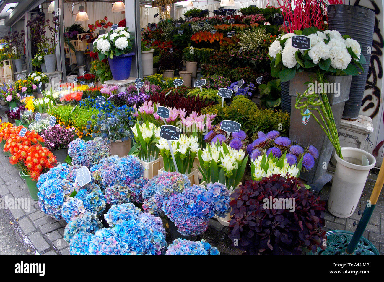 Flower stall in a covered street market in Amsterdam. The Netherlands ...