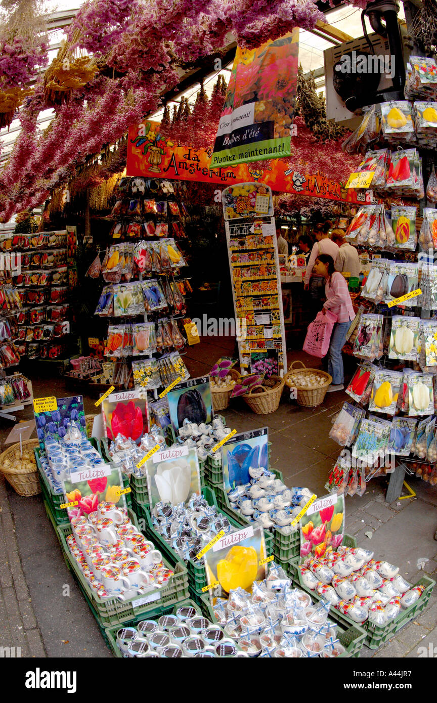 Stall selling tulip bulbs in a street market in Amsterdam Stock Photo ...