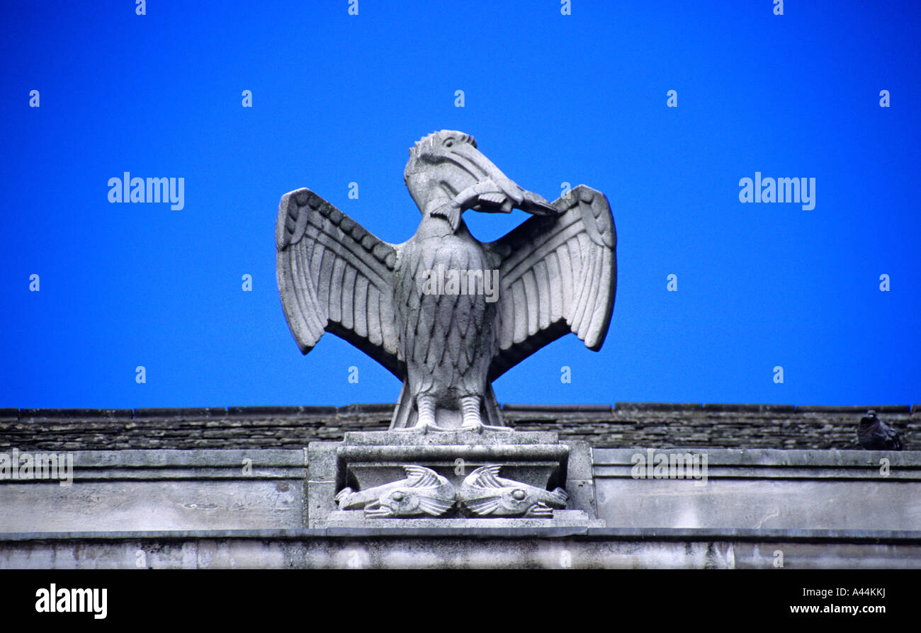 Pelican hotel sign hi-res stock photography and images - Alamy