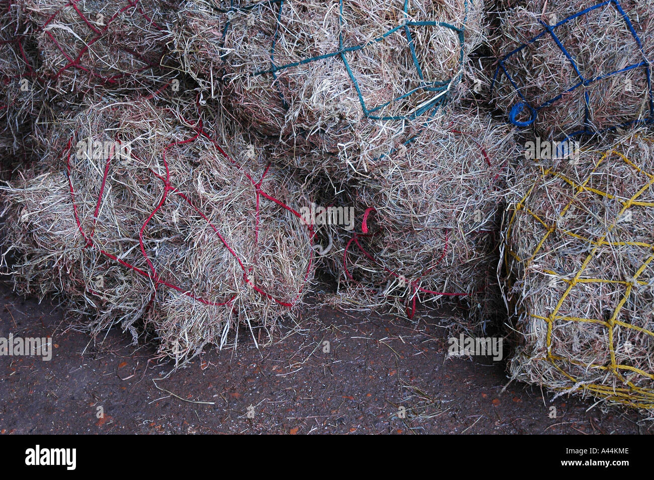Hay ties with multicoloured rope Stock Photo - Alamy