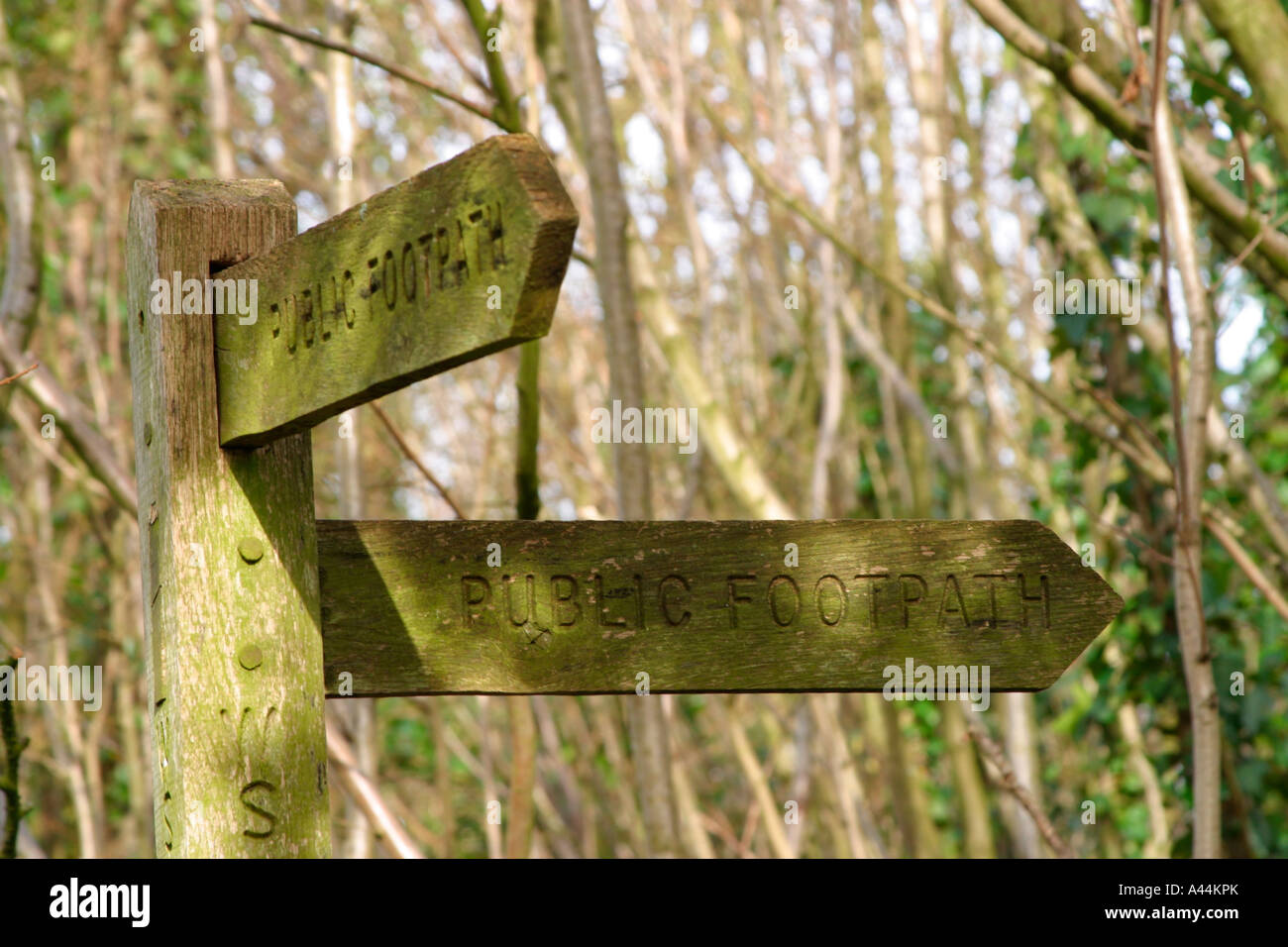 West sussex county council hi-res stock photography and images - Alamy