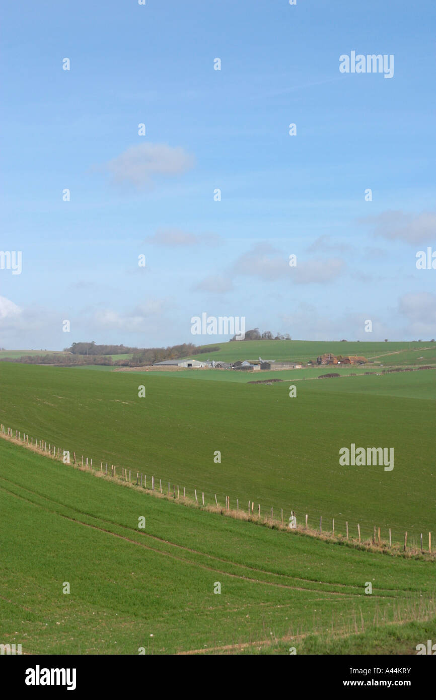 View of Tolmare Farm, Long Furlong, near Findon village. West Sussex ...