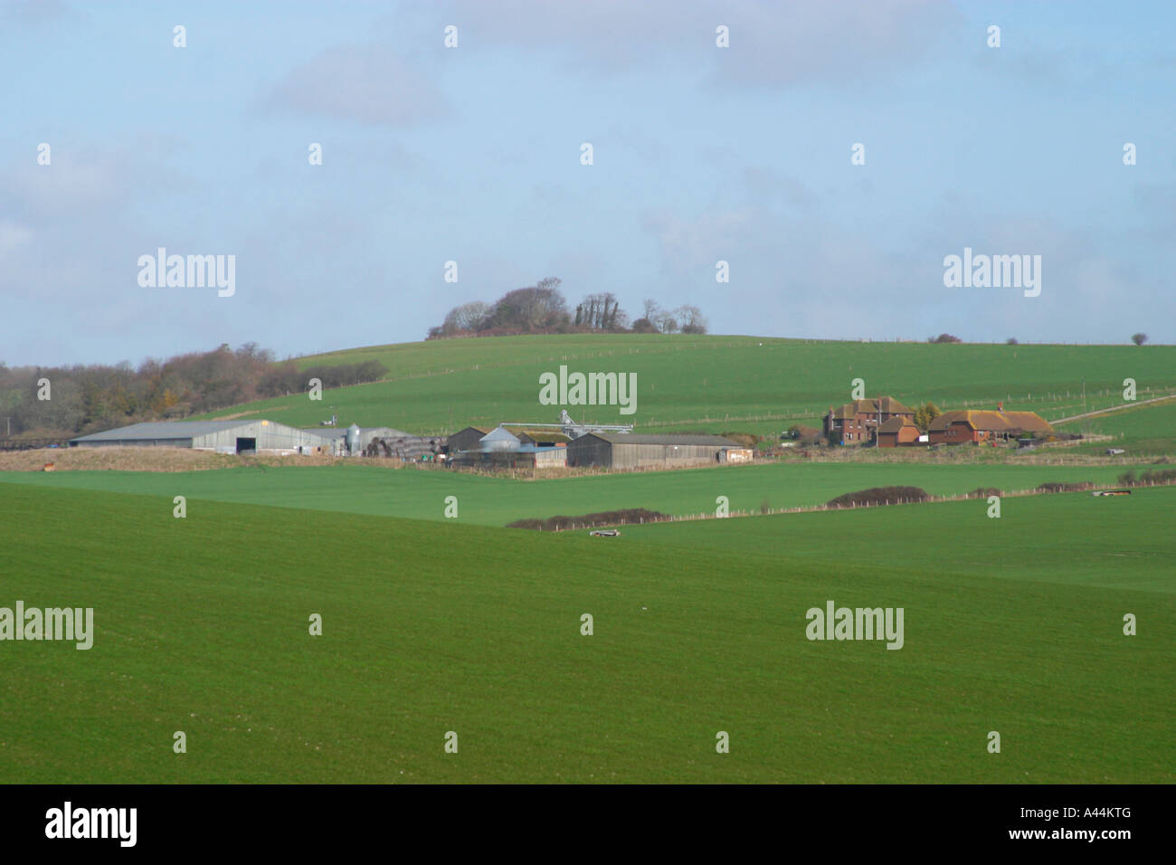 View of Tolmare Farm, Long Furlong near Findon Village, West Sussex ...