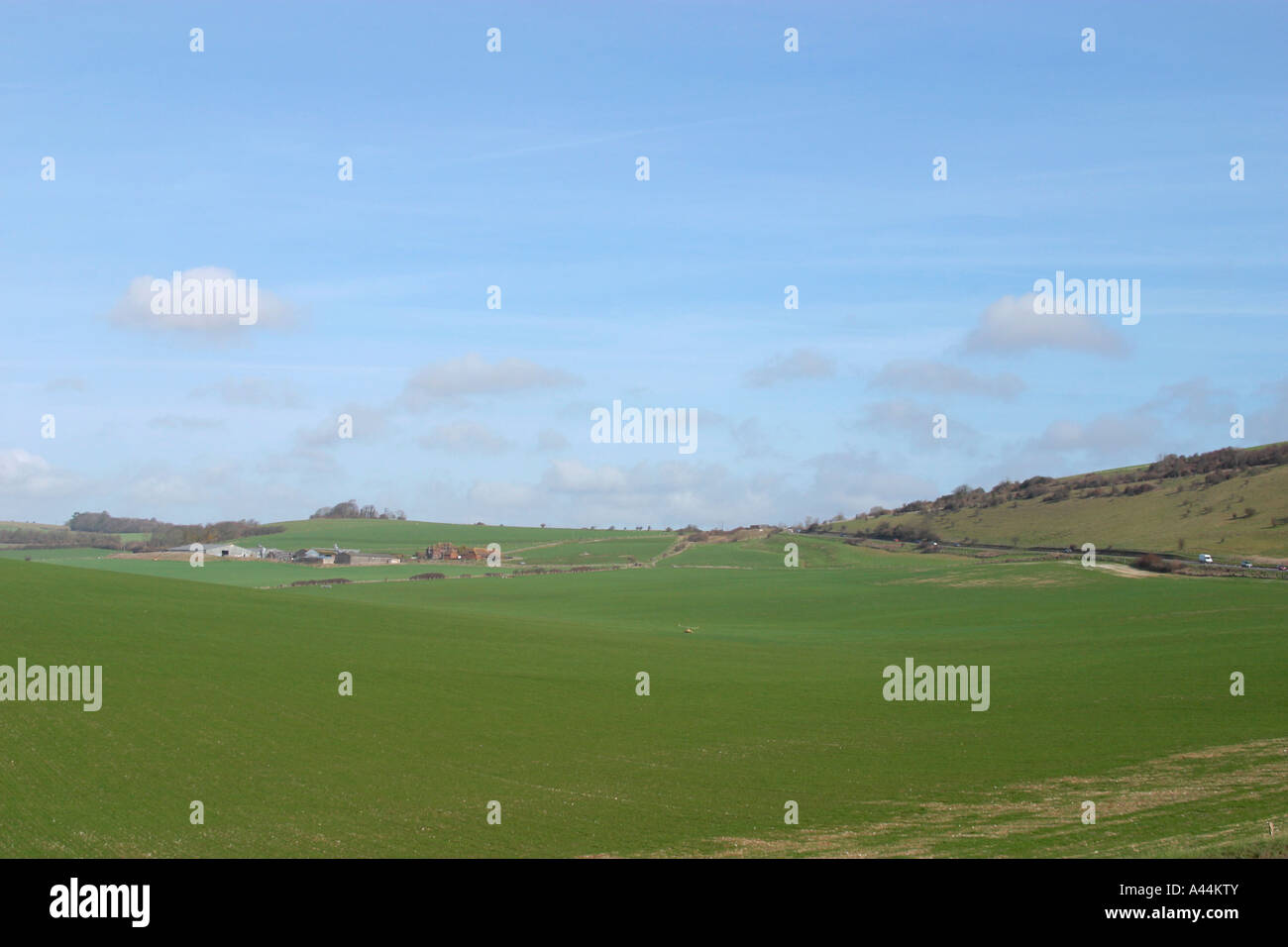 Long furlong sussex hi-res stock photography and images - Alamy