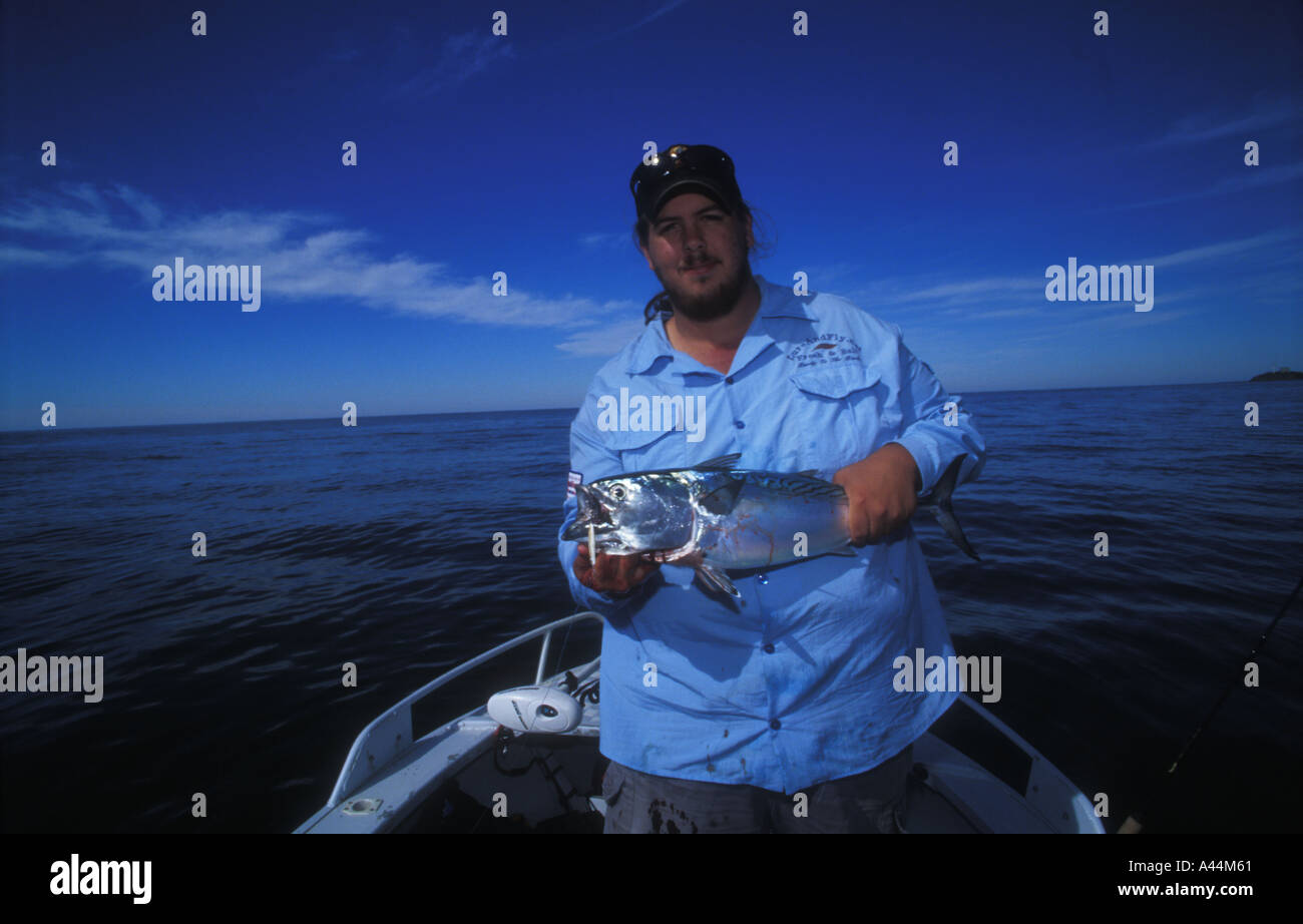 Mackrel hi-res stock photography and images - Alamy